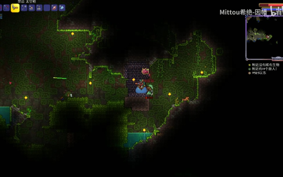 【泰拉瑞亚/专家 p13】丛林探险