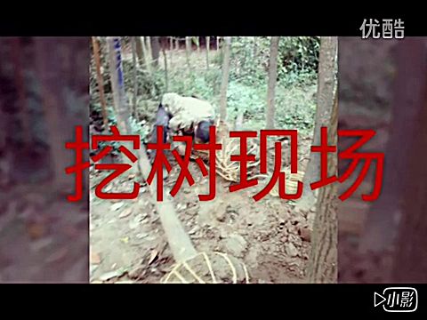 河南省潢川县通广苗木基地宣传片