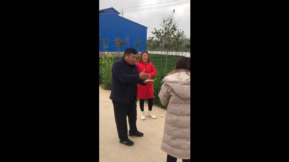 辣椒种植技术指导