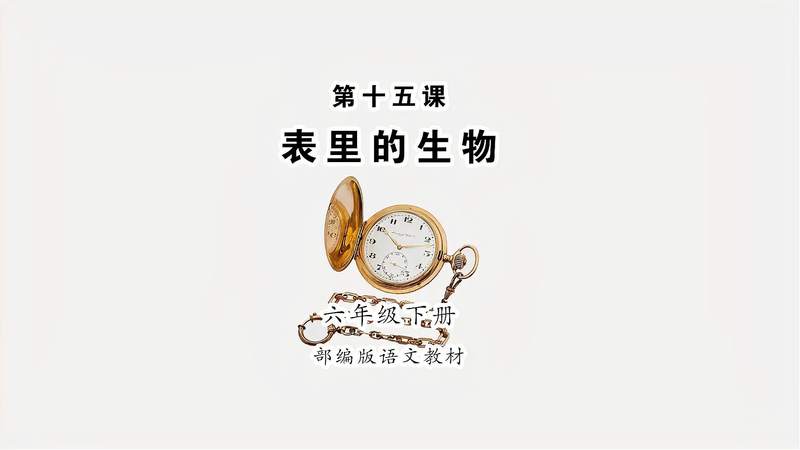 《表里的生物》小学语文六年级下册课文朗读