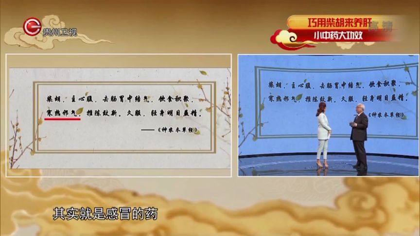 医生开讲:柴胡入中药功效居多,有延年作用,来听专家细讲