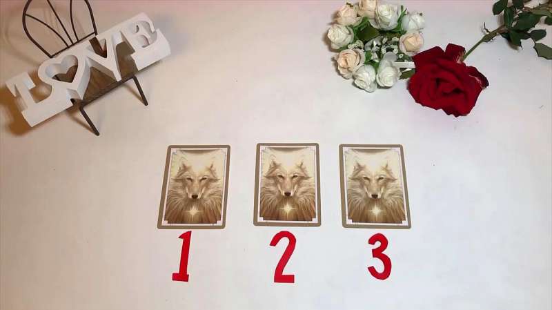 每日塔罗:他怎样看待这段关系?内心真实的看法?我们会在一起?