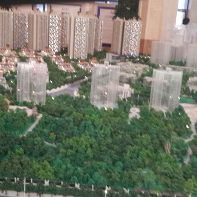 周忠文56505532 