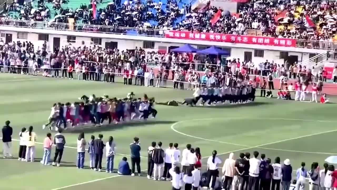 盘点校园运动会的社死瞬间,瞬间失去择偶权,功德又笑没了#社死现场 #...