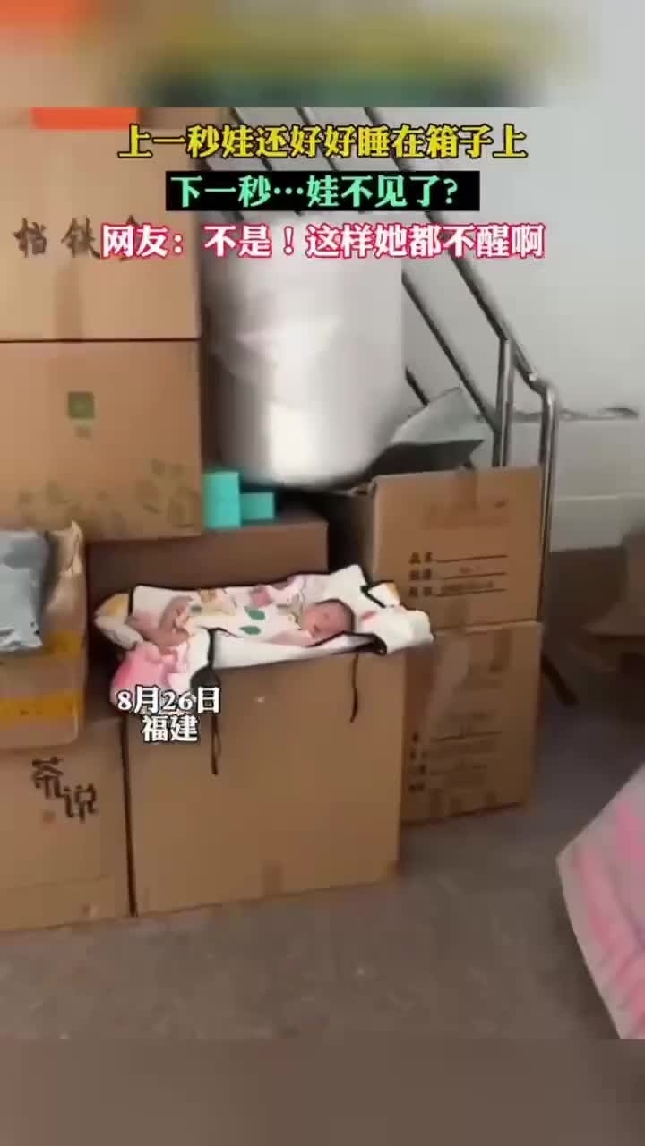 8月26日福建。上一秒娃娃还睡在纸箱上,下一秒娃娃不见了,网友:这样...