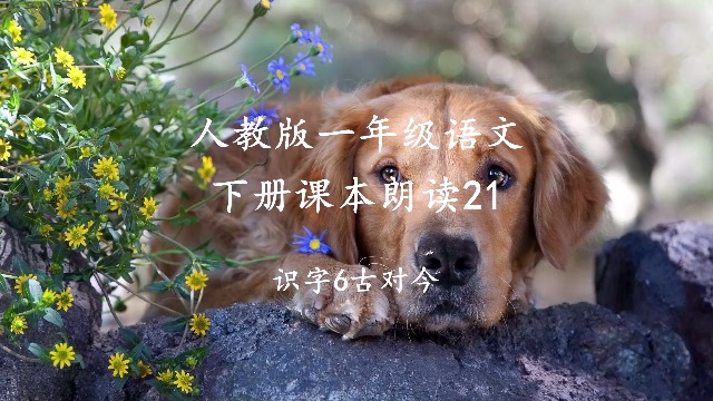 人教版小学一年级语文下册课本朗读21