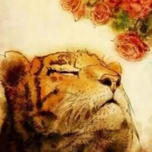 财富自由前的万丈深渊 