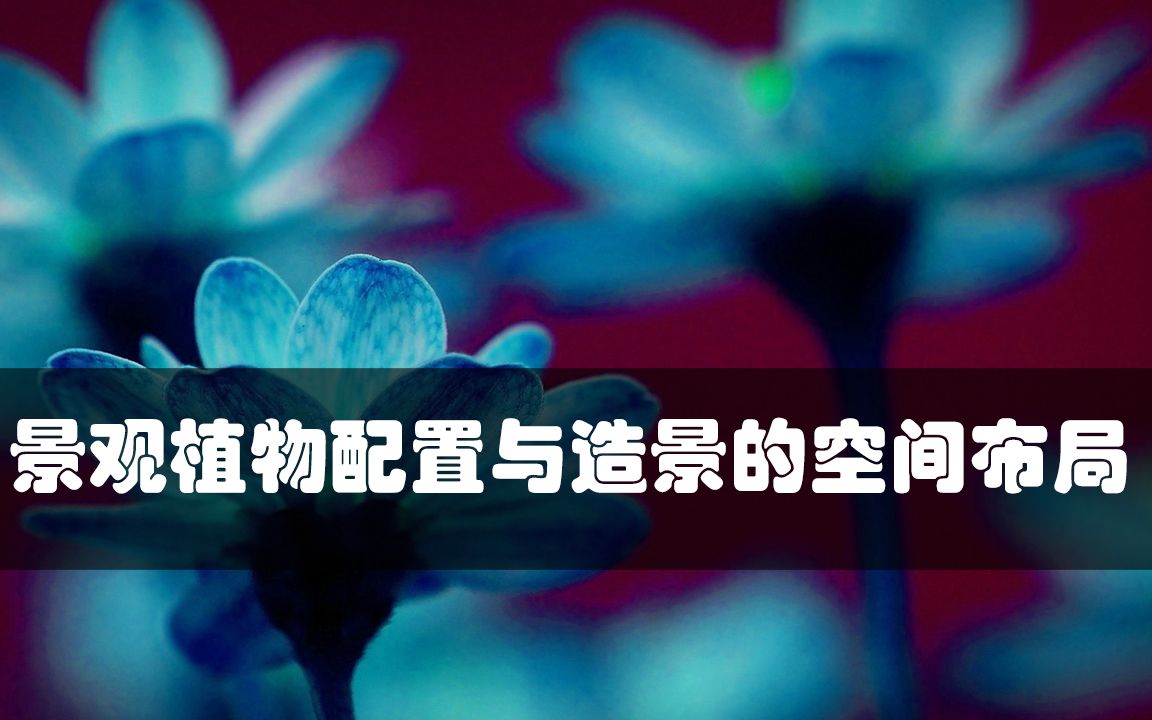 景观植物配置与造景的空间布局