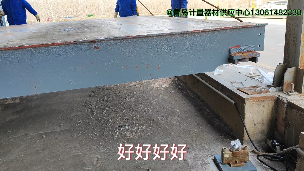 潍坊诸城升级改造称重计量系统,防鼠咬防遥控称重传感器,传感器带...