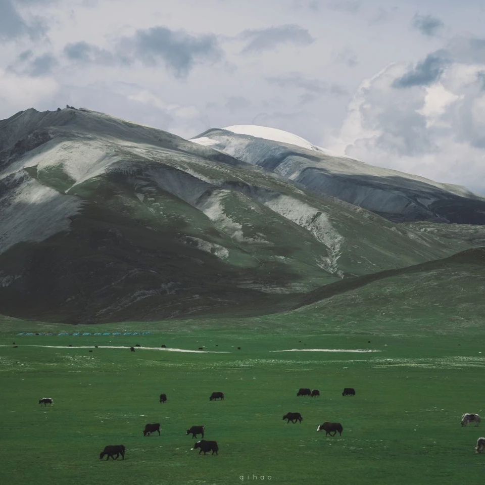 炒股实现财富自由 