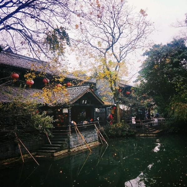 TI鹏杰 