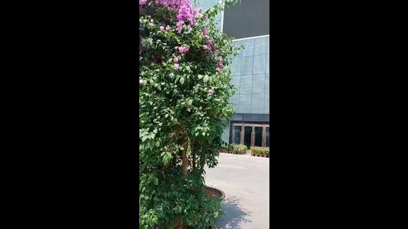 北京网红直播产业园招商了