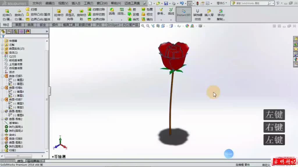 solidworks建模玫瑰花15#cad #机械设计 #solidworks
