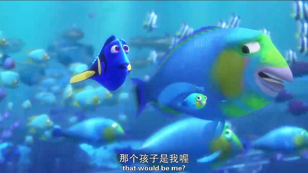 海底总动员:可怜小鱼找妈妈,虽回到小时候的住所,但却空无一人