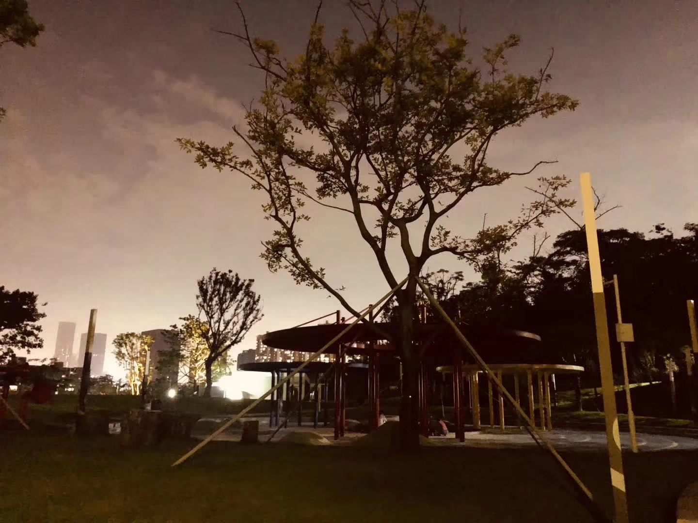 不会吃鱼的冬冬酱 