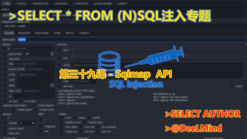 第三十九课 - Sqlmap API