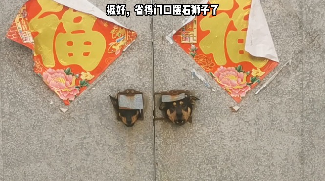 大爷家的门环竟这么别致,都省得家门口摆石狮子了