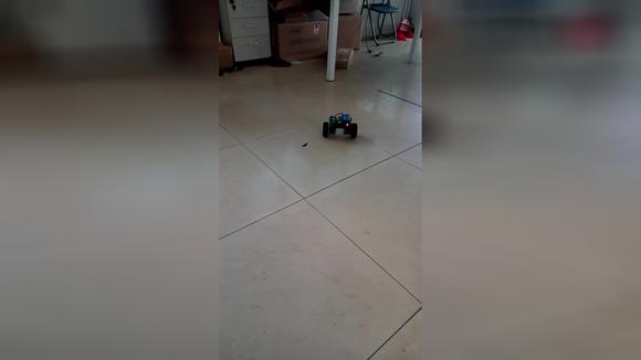 这个DIY 的平衡车看起来很稳定的样子