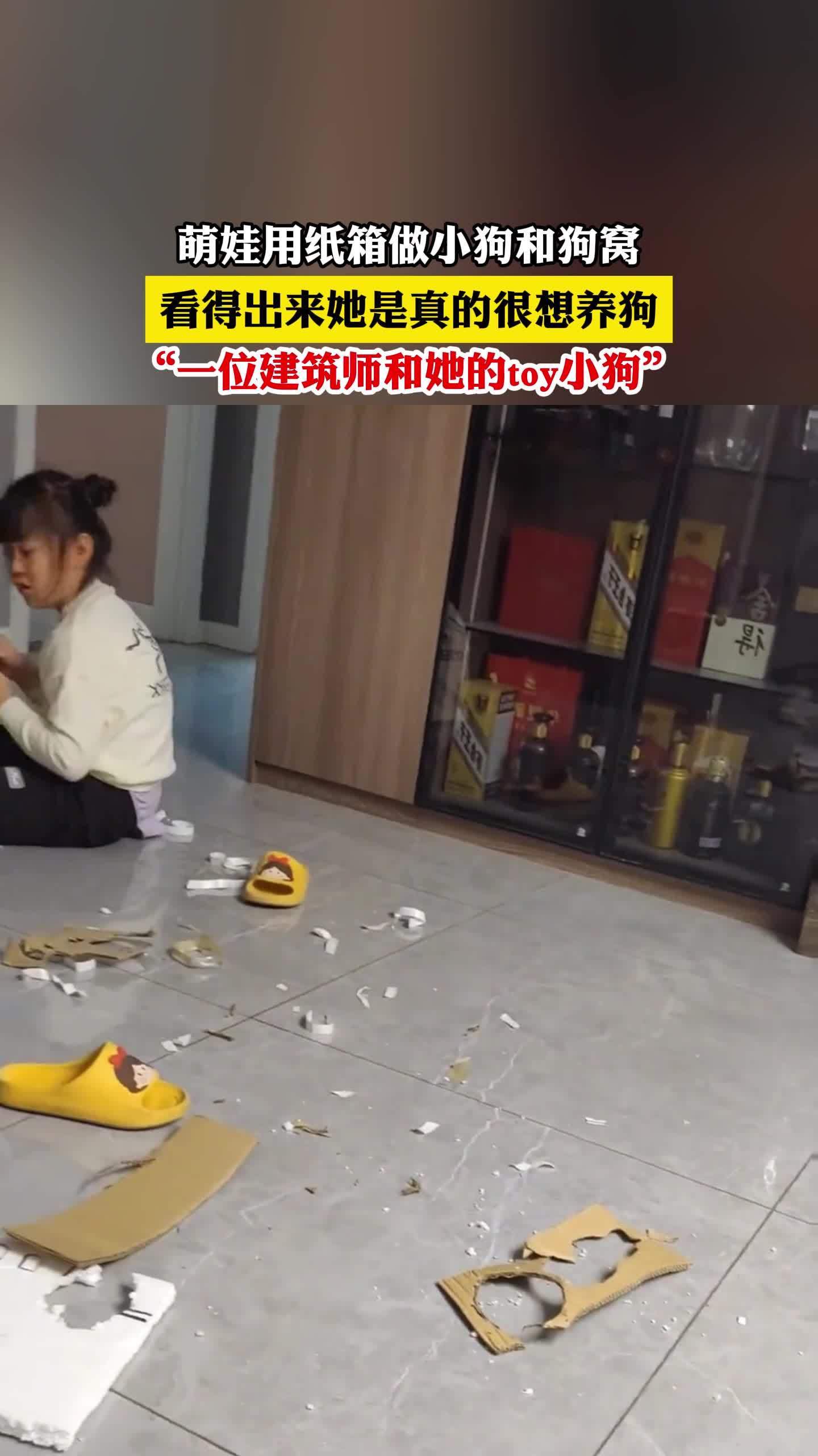 萌娃用纸箱做小狗和狗窝,看得出来她是真的很想养狗