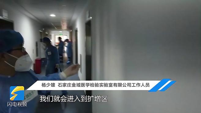 66秒|咽拭子样本被取后到得出核酸检测结果 中间经历了什么