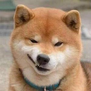凌霄游戏混剪 