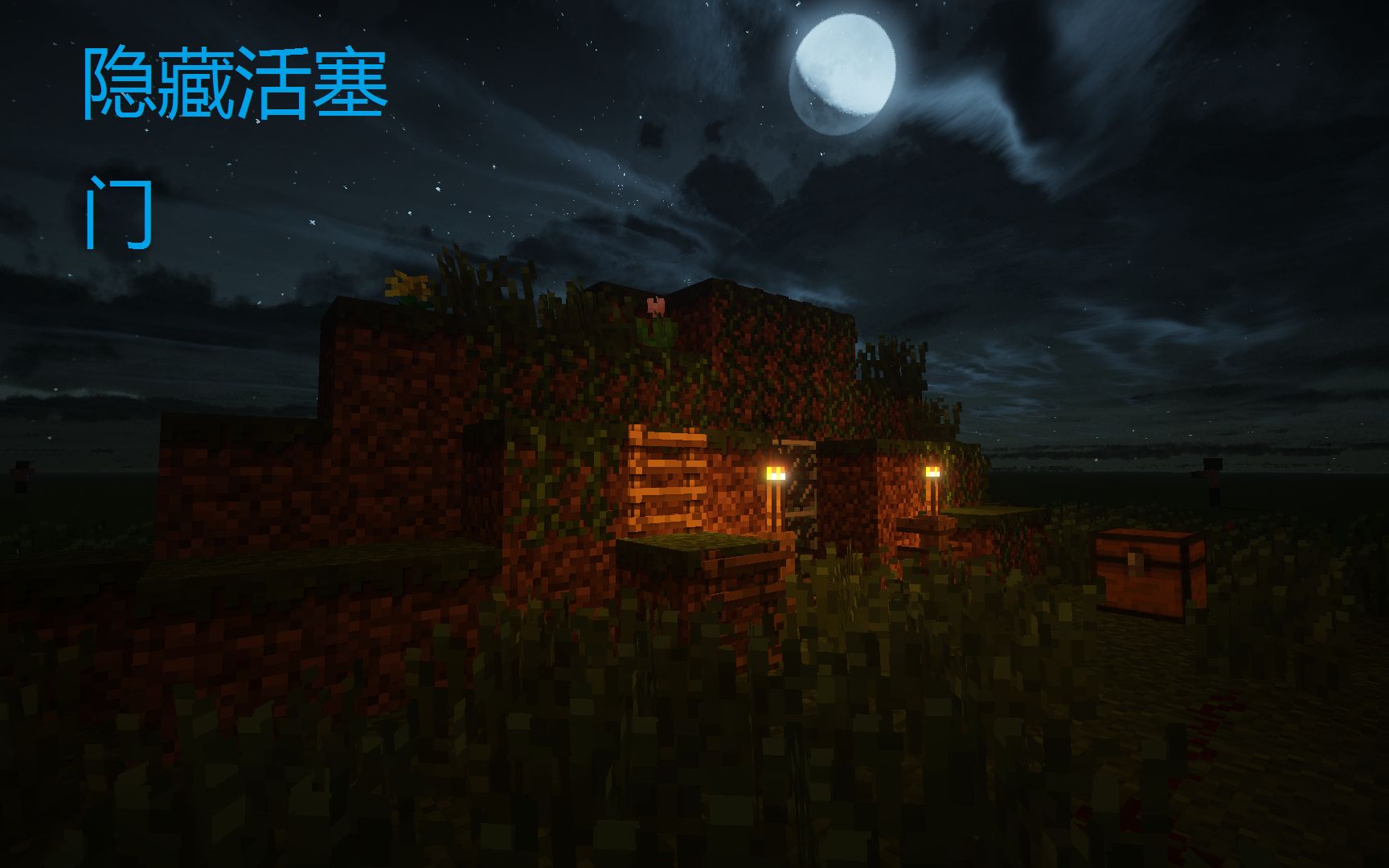 (子幕皮卡)我的世界玩家普遍的活塞门教程。