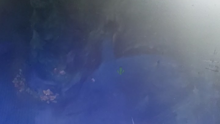 真不是我不想赢,什么叫ppt