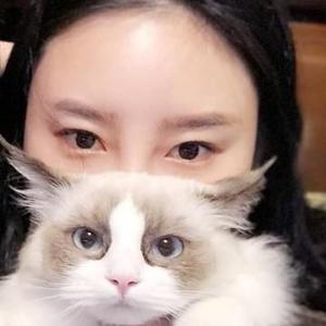 Tiffany和布偶猫 