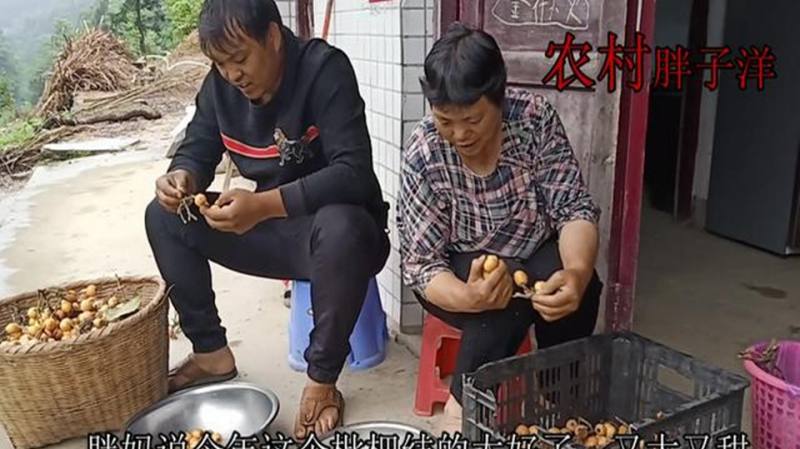 农村大妈用60年的手艺,教小伙制作纯枇杷药酒,据说即养生又止咳