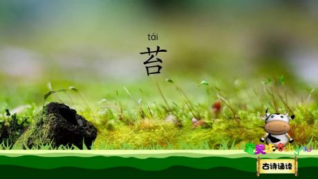 苔 苔花如米小 也学牡丹开 宝贝牛古诗诵读 国学唐诗宋词