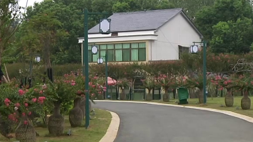 益阳紫薇村:“二维码”上的绿色村庄