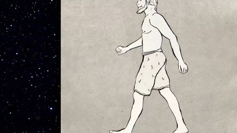 人类在最初究竟是什么进化而来的呢?47秒带大家回看人类的进化史