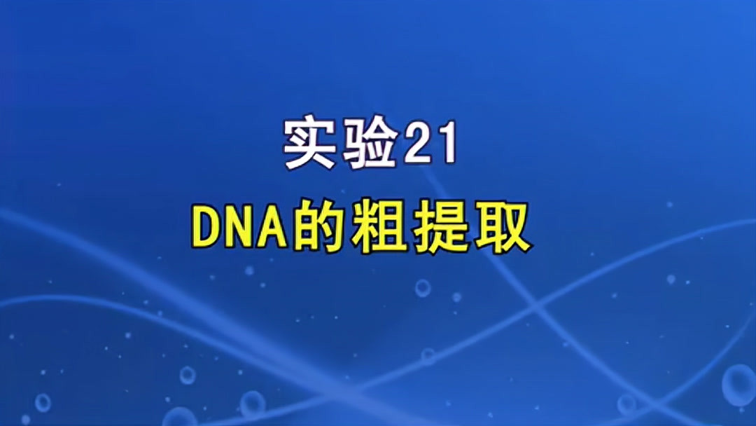 DNA的粗提取演示实验视频