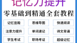 记忆力培训课程记忆宫殿大师超脑特训营全套视频菲常记忆提升教程