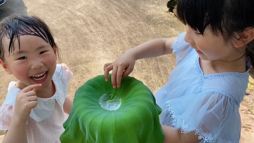 一片荷叶让姐妹俩开心了一整天,小水珠在荷叶上滚来滚去好神奇