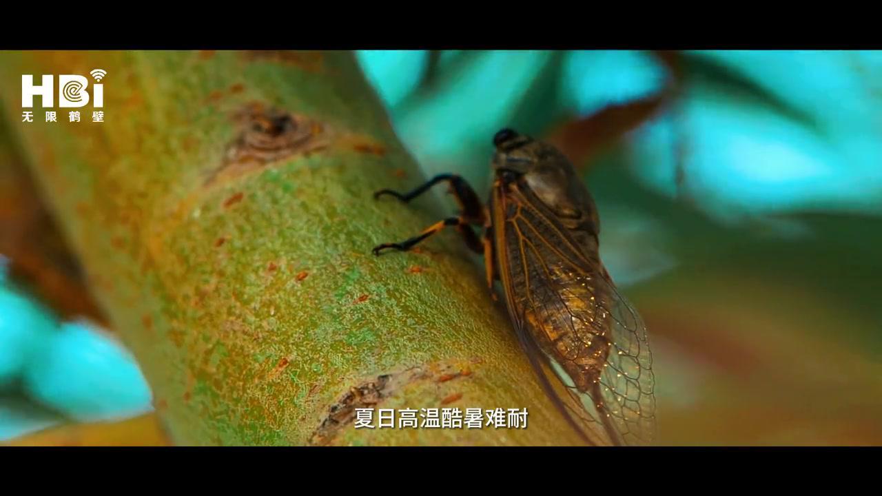 #夏季商业用户安全用气#注意事项!#无限鹤壁#天然气
