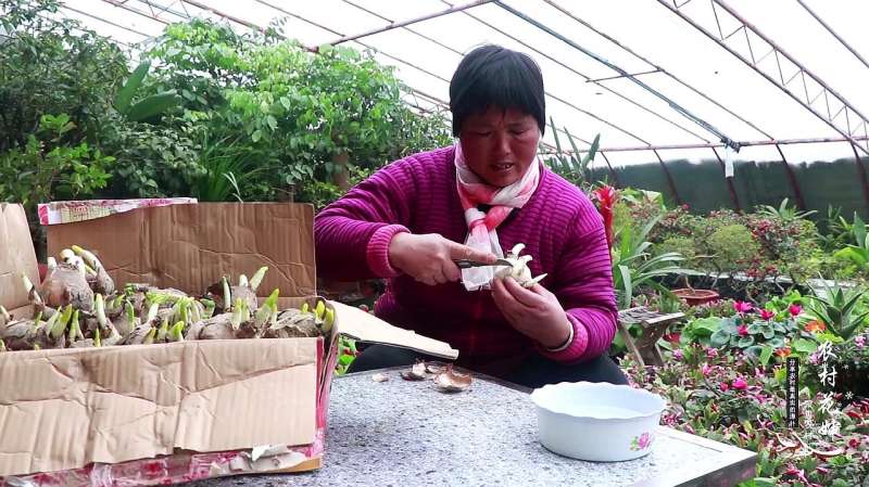 水仙花种植前如何处理?花婶手把手教你,这样的方式你见过吗?