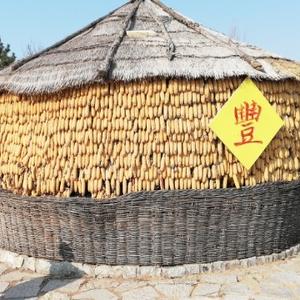 24壳壳之旅 