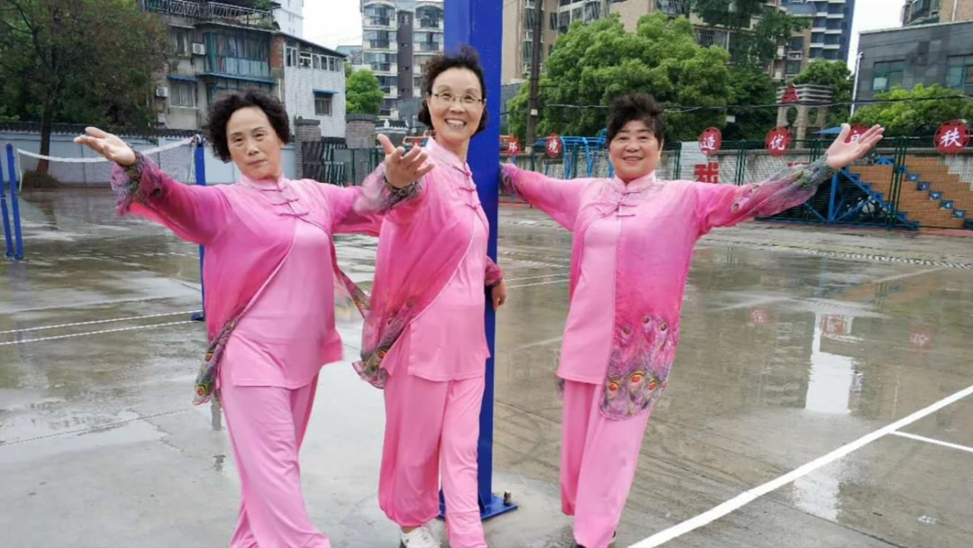 武术进校园2018太极拳表演