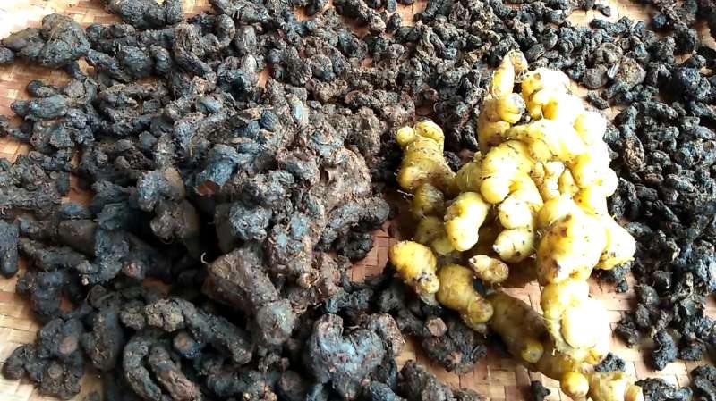 食用黄精的加工方法很多,九蒸九晒加工的才最好吃,营养更高