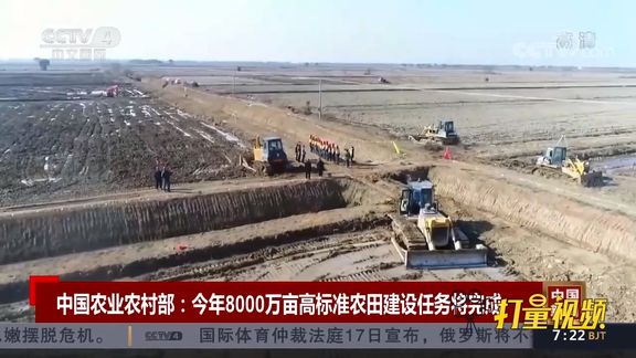 农业农村部:今年8000万亩高标准农田建设任务将完成|中国新闻