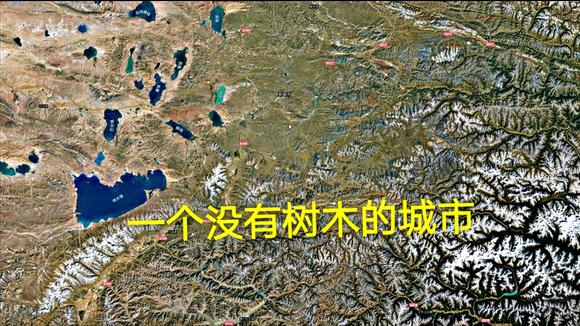 中国唯一没有树木的城市,种活一棵奖励30万,至今还没发过奖金