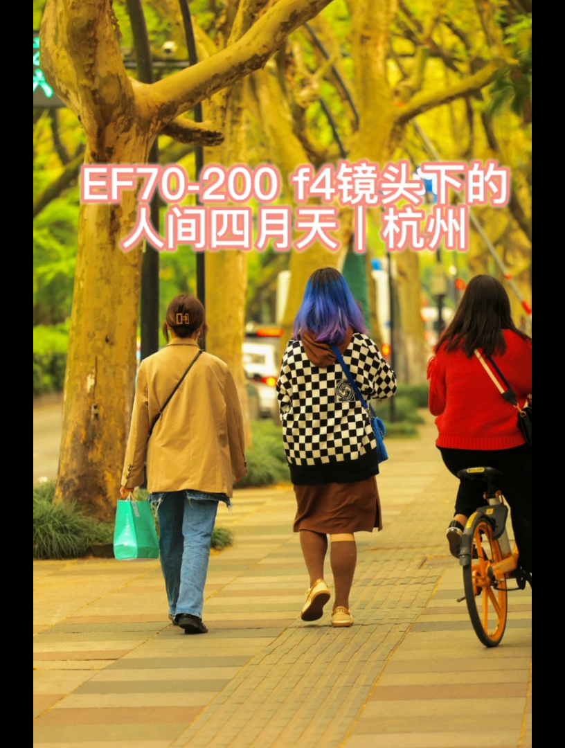 人间四月天|杭州|佳能r6+ef70-200 f4