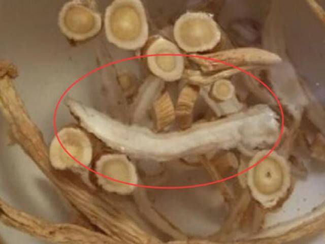 黄芪和它泡水,功效胜过“虫草”,每天一杯,补气益气功效好