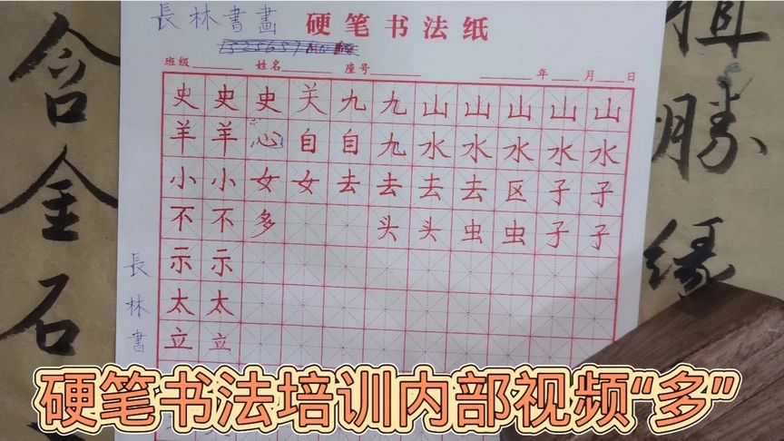 硬笔培训内部视频“多”