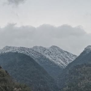 浮生若茶131214075 