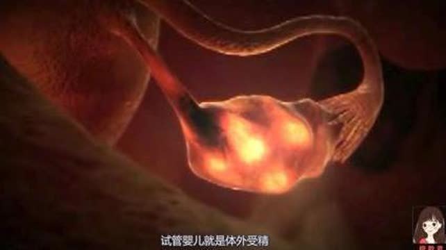 试管婴儿有多疼镜头记录试管婴儿诞生全过程,看完心疼不已!