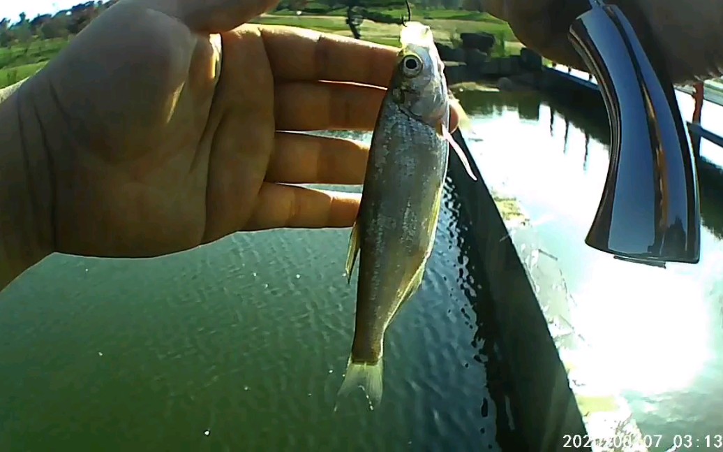 拼夕夕gopro的拍摄效果