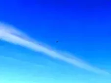 MSDV F-15航模模拟飞行