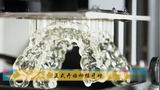 3D动画演示:“种牙”全过程,光看就感受到了疼